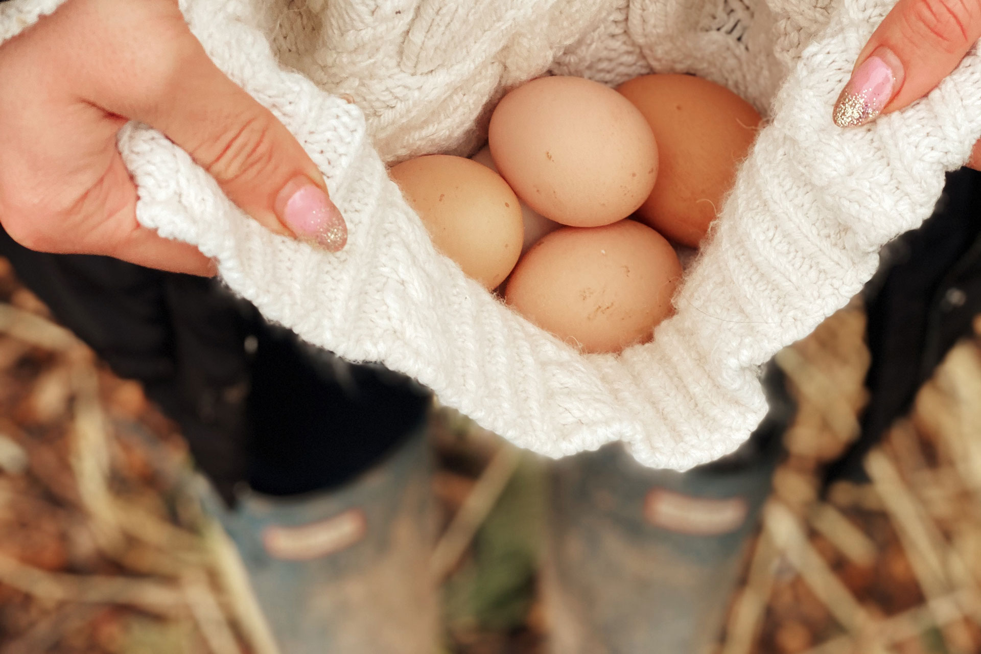 Home - The Pods at Streamvale | Glamping Pods Belfast