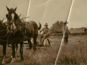 History - The Pods at Streamvale | Glamping Pods Belfast